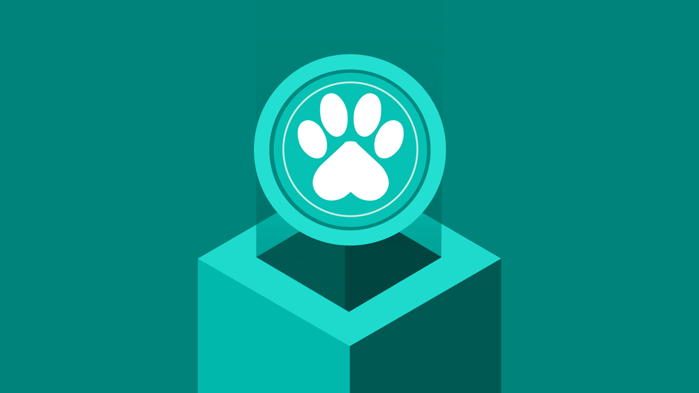 Paw has been listed on P2B - Crypto news 2022 cryptocurrency exchange P2B