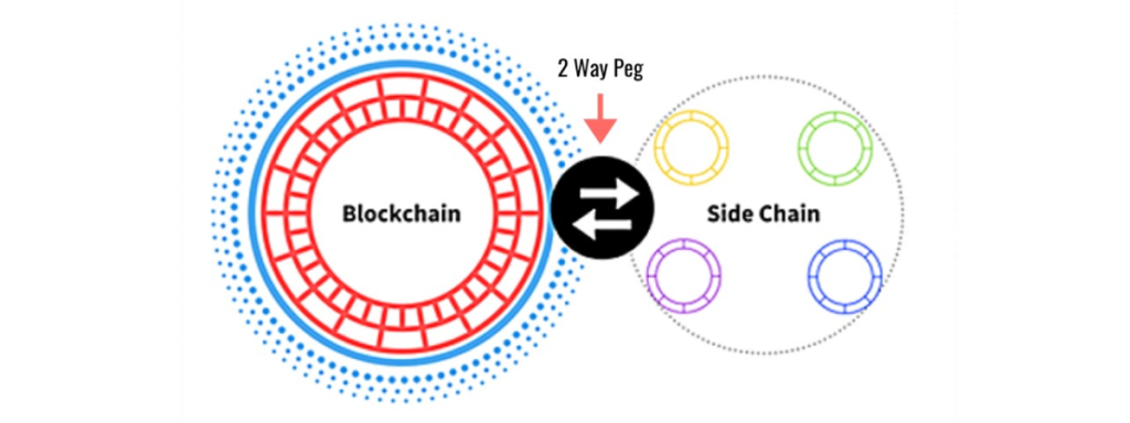 Long-read guide on different types of blockchain | P2B Exchange
